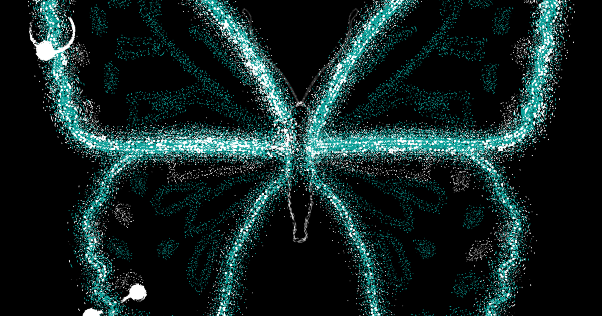 Ludo Takebe | MUTEK Tokyo