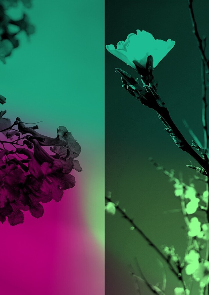 MUTEK | Festival of digital creativity and electronic music