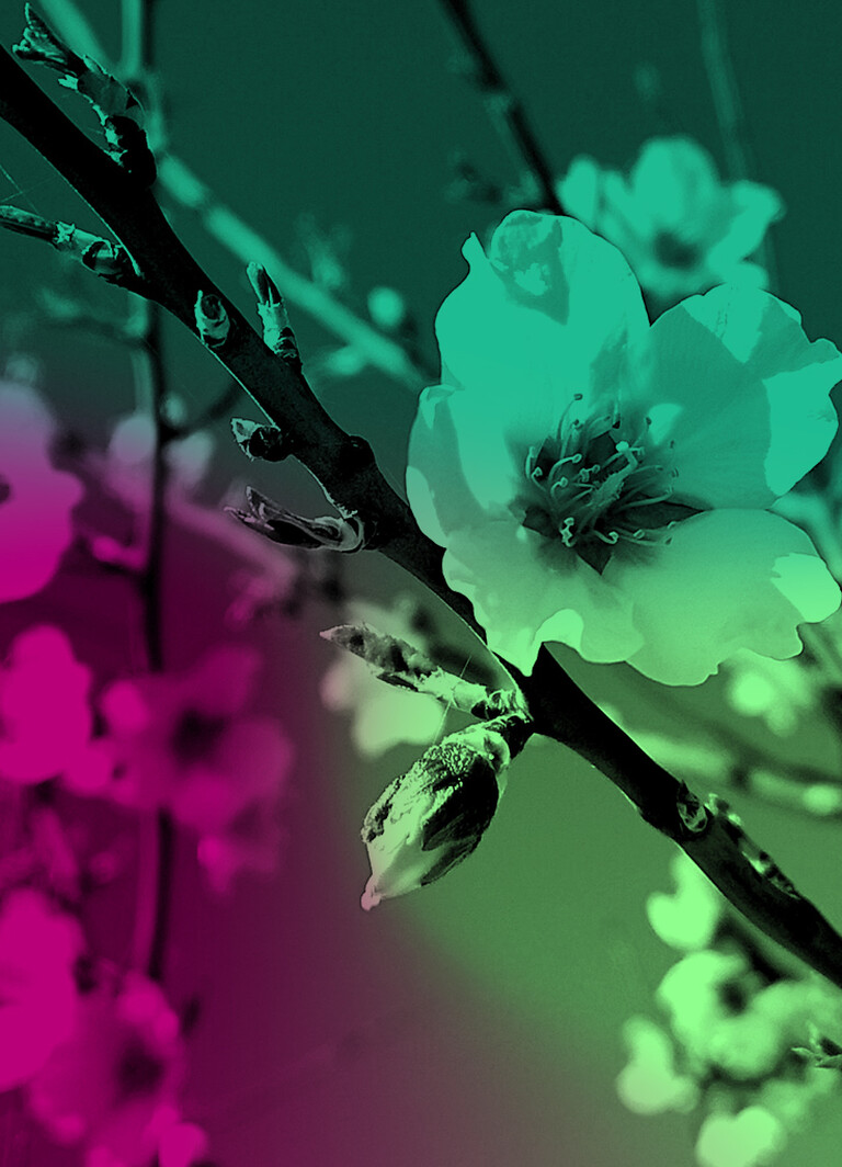 MUTEK | Festival of digital creativity and electronic music